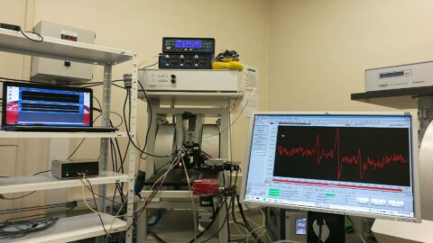 Plateforme de spectroscopie et d’imagerie RPE | Plateformes