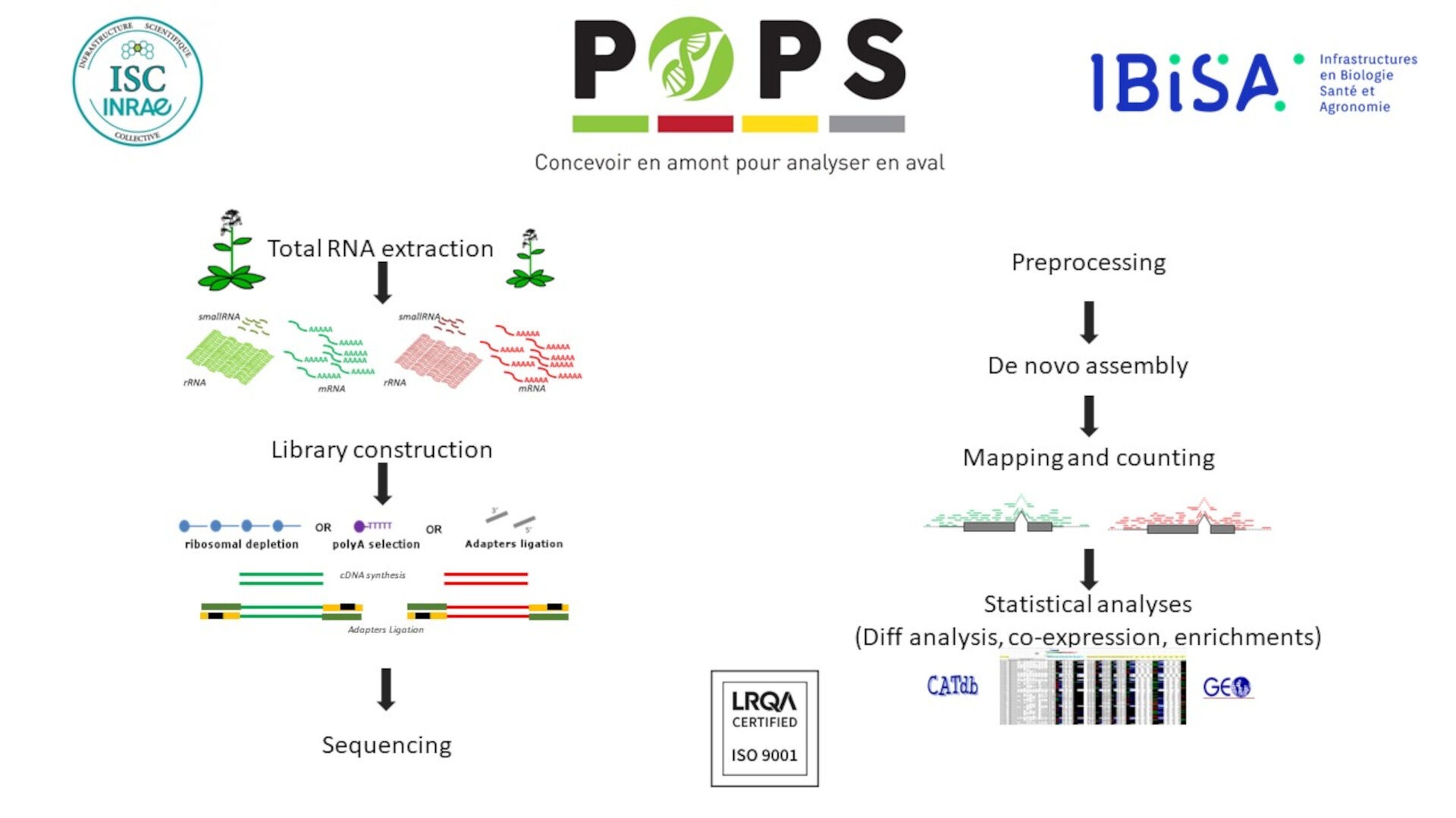 Plateforme de Transcriptomique Plante de Paris-Saclay, POPS | Plateformes