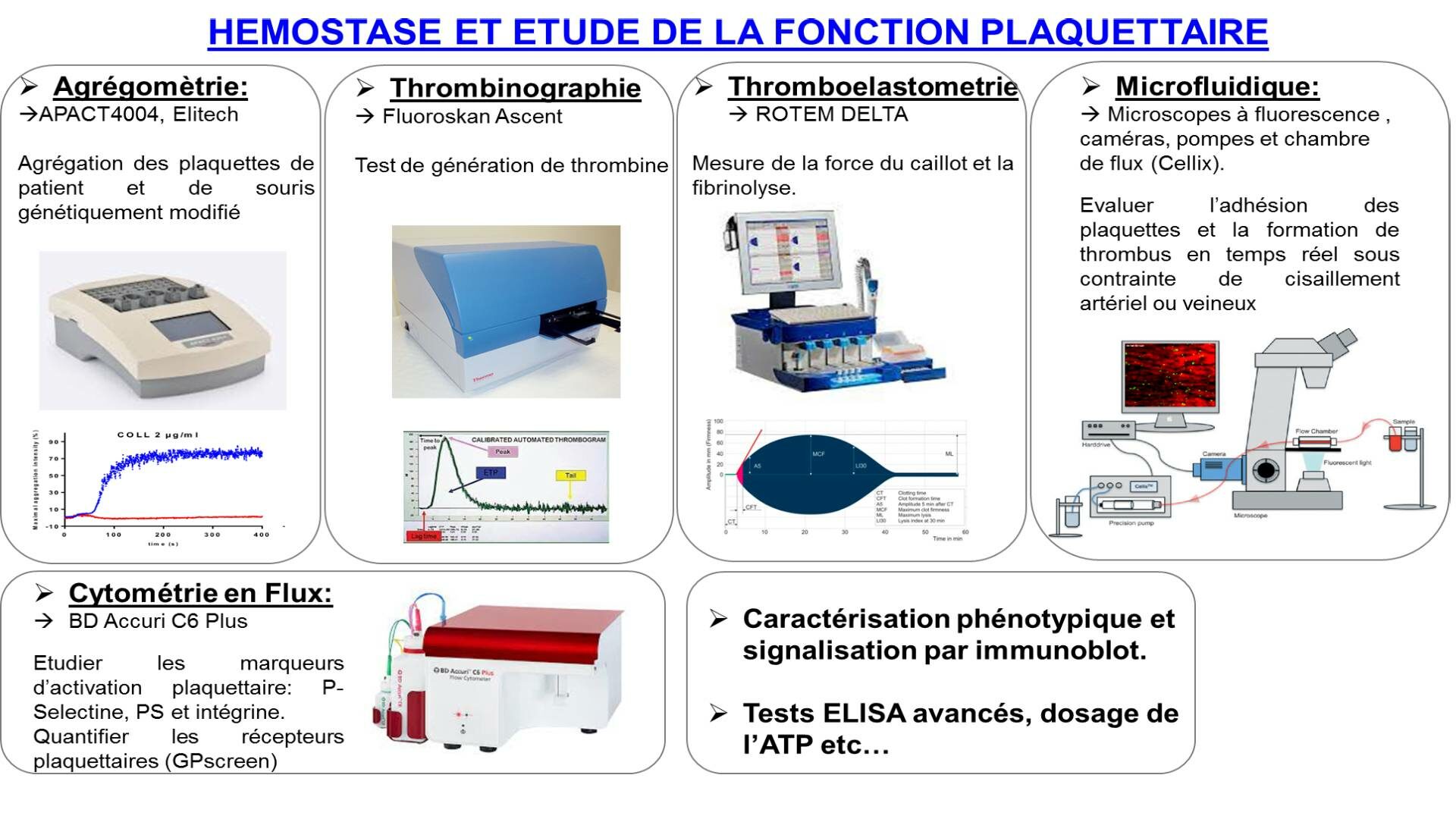 Plateau – Exploration des fonctions plaquettaires | Plateformes