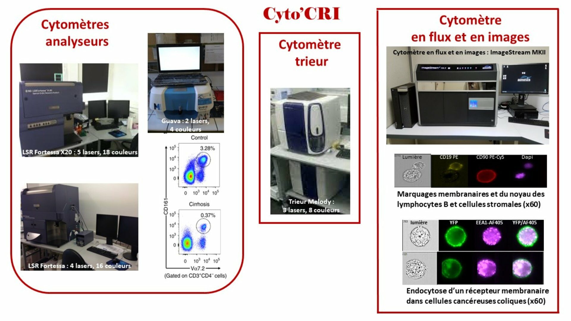 Plateforme de cytométrie en flux – Cyto’CRI | Plateformes