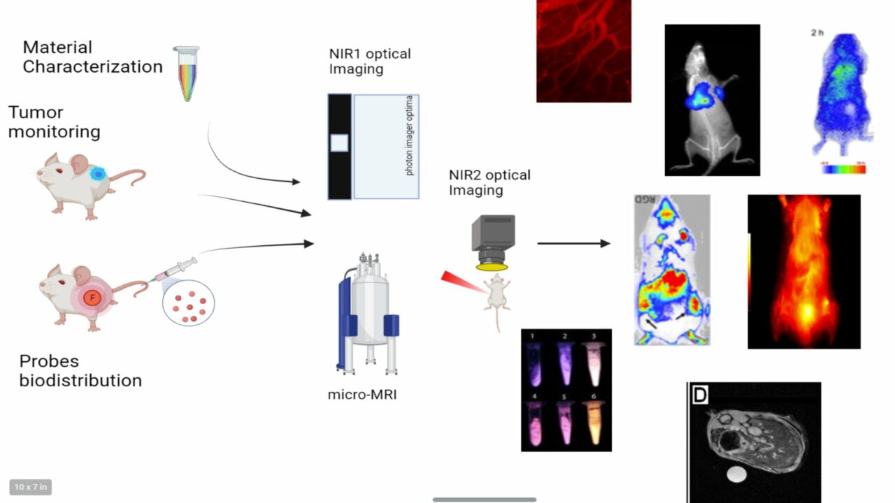 Laboratoire d’Imagerie Optique du Petit Animal (LIOPA) de l’UTCBS CNRS ...