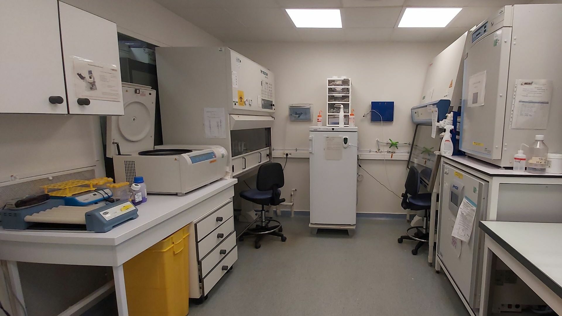 Laboratoire de confinement niveau 2 (L2) – MERIT | Plateformes